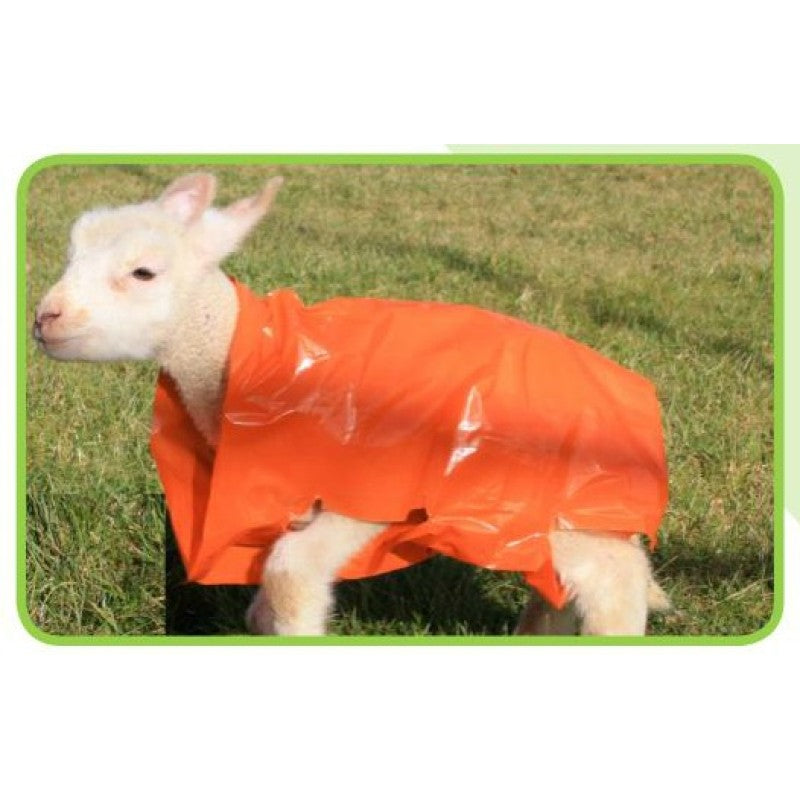 100 x Single Lamb Cover (Orange – GLS Fencing